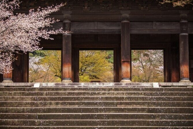 Kyoto Cherry Blossom 1 Day Walking Tour - Final Thoughts: Is This Tour Right for You?
