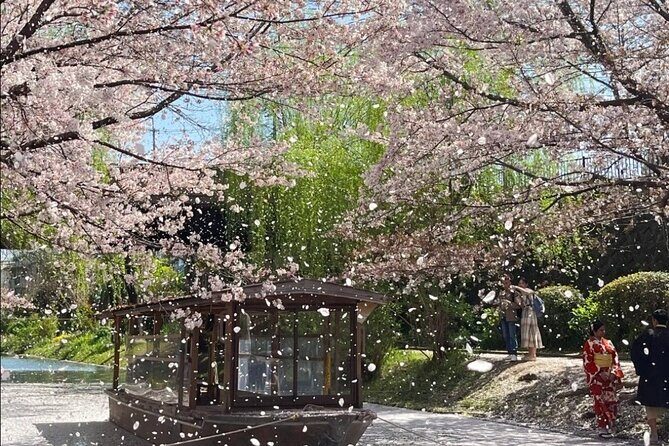 Kyoto City Cherry Blossom Private Sightseeing Tour - Exploring the Beauty of Kyotos Cherry Blossoms