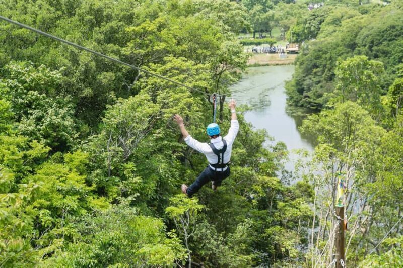 Kyoto: Crayon Shin-chan at Nijigen no Mori Entry & Transfer - Pricing and Value