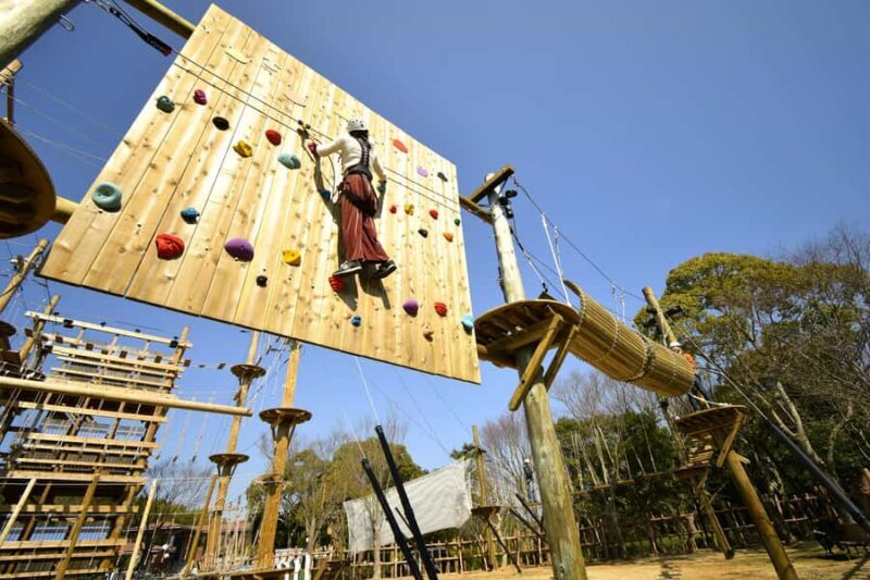 Kyoto: Crayon Shin-chan at Nijigen no Mori Entry & Transfer - Who Should Consider This Tour?