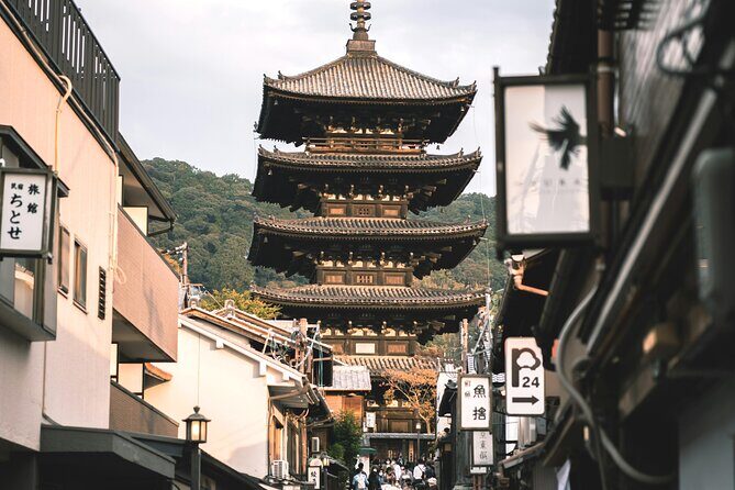 Kyoto Culinary Tour with a Chef! - A Deep Dive into the Kyoto Culinary Tour