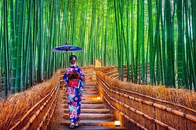 Kyoto Customizable Day Tour With Guide and Vehicle - Final Thoughts