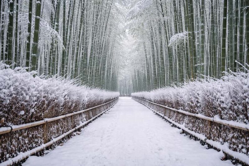 Kyoto: Customizable Early-Access Tour with Guide & Car - Key Points