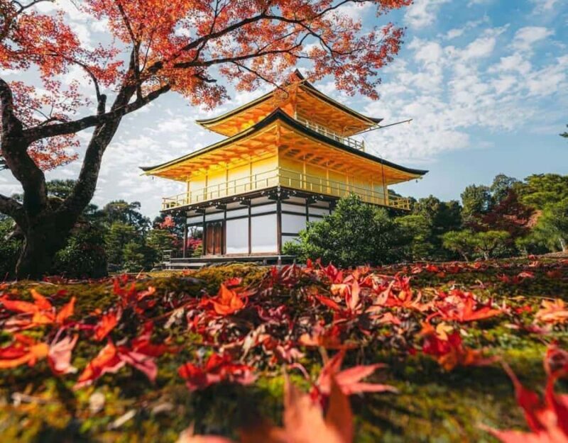 Kyoto: Customizable Early-Access Tour with Guide & Car - Authenticity and Enriching the Experience