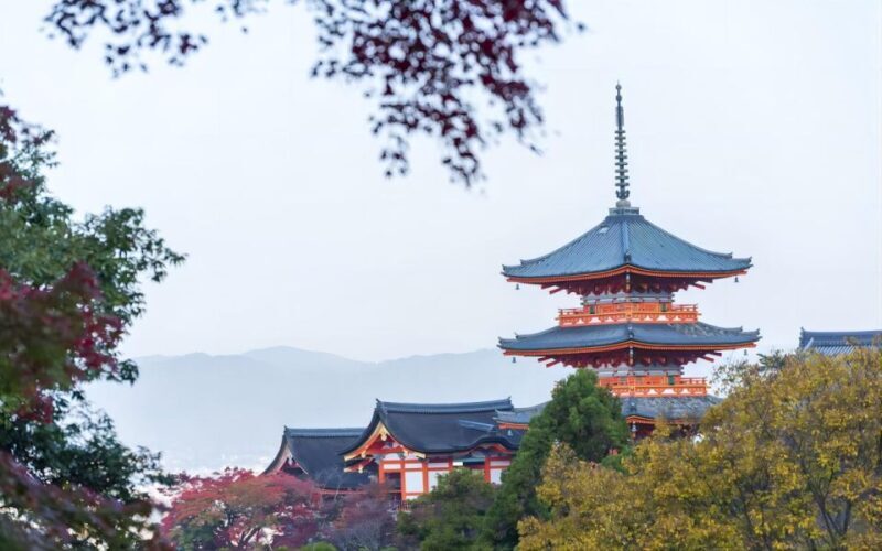 Kyoto: Customizable Full-Day Tour with Privarte Transfers - Why Choose a Private, Customizable Tour?