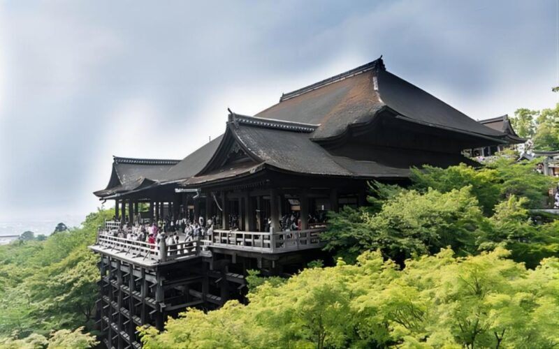 Kyoto: Customizable Full-Day Tour with Privarte Transfers - Cost and Value Analysis