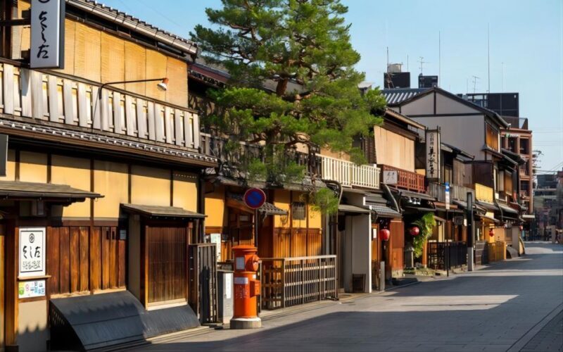 Kyoto: Customizable Full-Day Tour with Privarte Transfers - Weighing the Pros and Cons