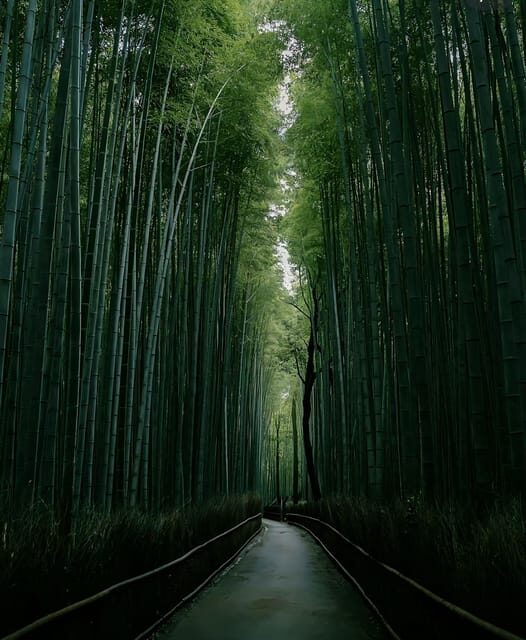 Kyoto: Customized One Day Car tour - Who Might Want More?