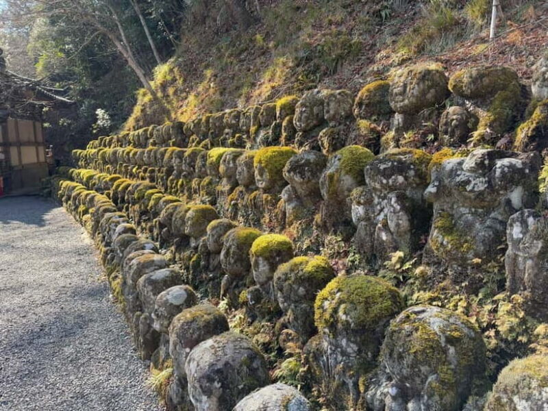 Kyoto Customized Private Tour: See Top Attractions in 1 Day - Transport and Comfort