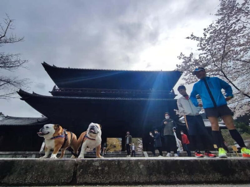 Kyoto: Daimonji Trail Hiking Tour with Historical Sites - What Makes This Tour Stand Out?
