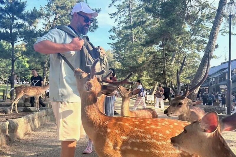 Kyoto Day Tour with an Experienced Local English Guide - The Value of a Private, Guided Tour