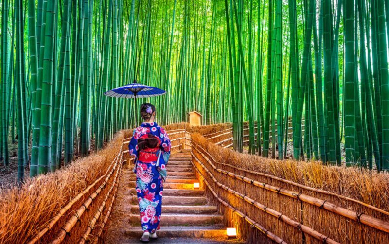 Kyoto Day Tour with Certified Tour Guide & Luxury vehicle - The Experience Through Travelers’ Eyes