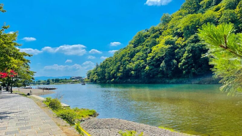 Kyoto Day Tour with Certified Tour Guide & Luxury vehicle - Practical Considerations