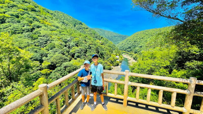 Kyoto Day Tour with Certified Tour Guide & Luxury vehicle - Who Should Consider This Tour?