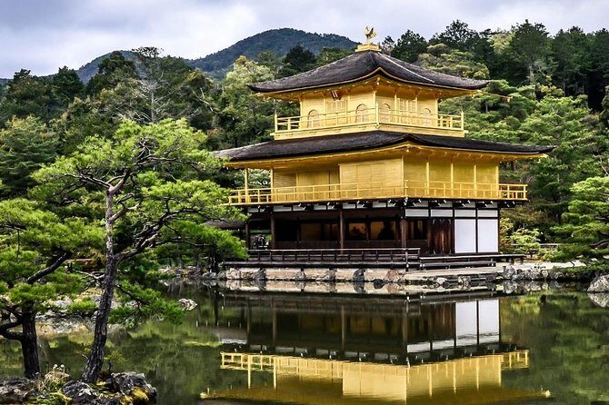 Kyoto Day Trip from Osaka Port  Private Shore Excursion - Key Points
