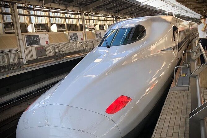 Kyoto Day Trip from Tokyo by Bullet Train Private Guided Tour - Key Points