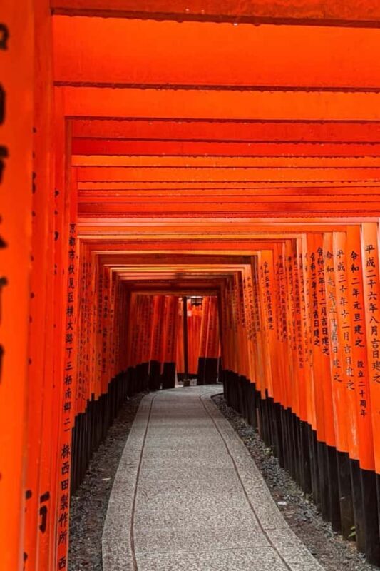 Kyoto Day Trip from Tokyo by Bullet Train Private Tour - How It Feels to Experience Kyoto in a Day