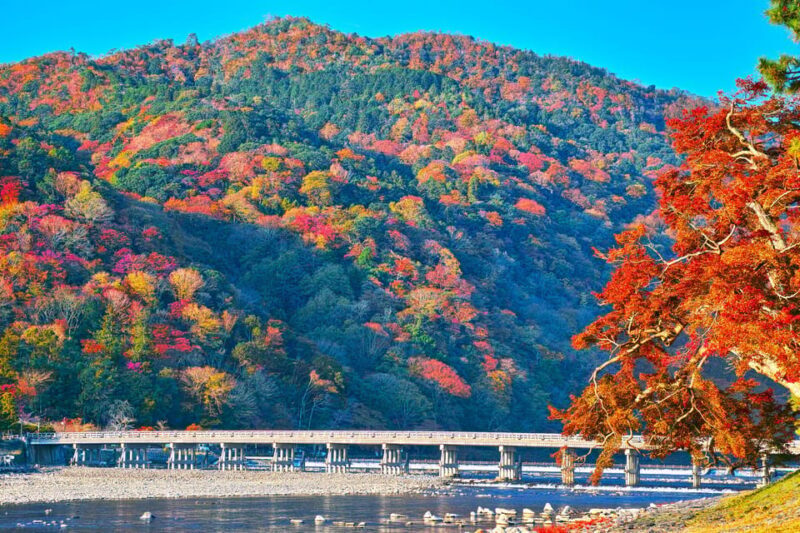 Kyoto Day Trip! Private Customizable Tour with Expert Guides - An In-Depth Look at the Kyoto Private Tour