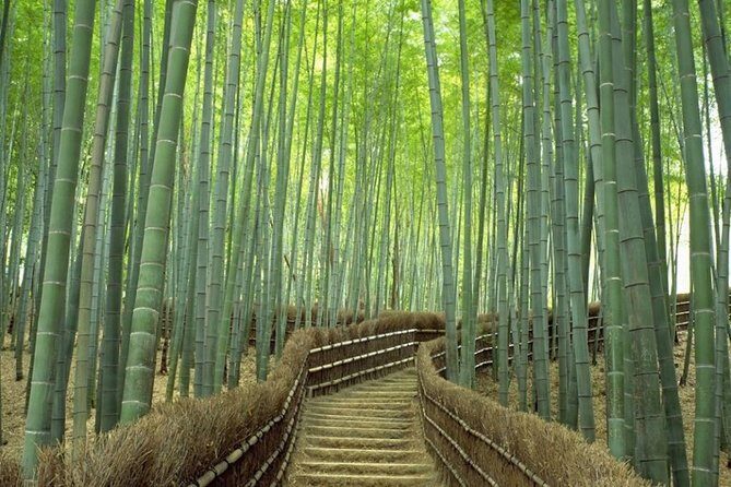 Kyoto Day Trip using Private Car with English Driver (up to 5) - An In-Depth Look at the Itinerary