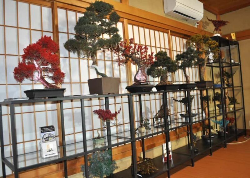 Kyoto: Dry Bonsai Making Workshop - Key Points