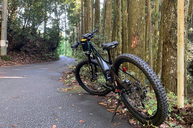 Kyoto E-Bike Rent (Powerful & Long model) - The Sum Up