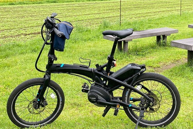Kyoto E-Bike Rent (Tern Vektron) - Pricing and Value