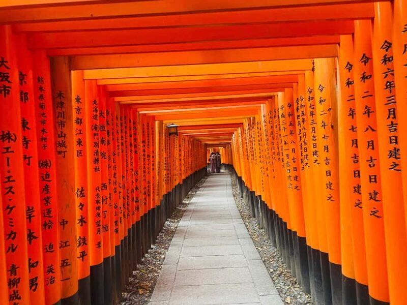 Kyoto: Early-Access Fushimi Inari Private Walking Tour - Key Points
