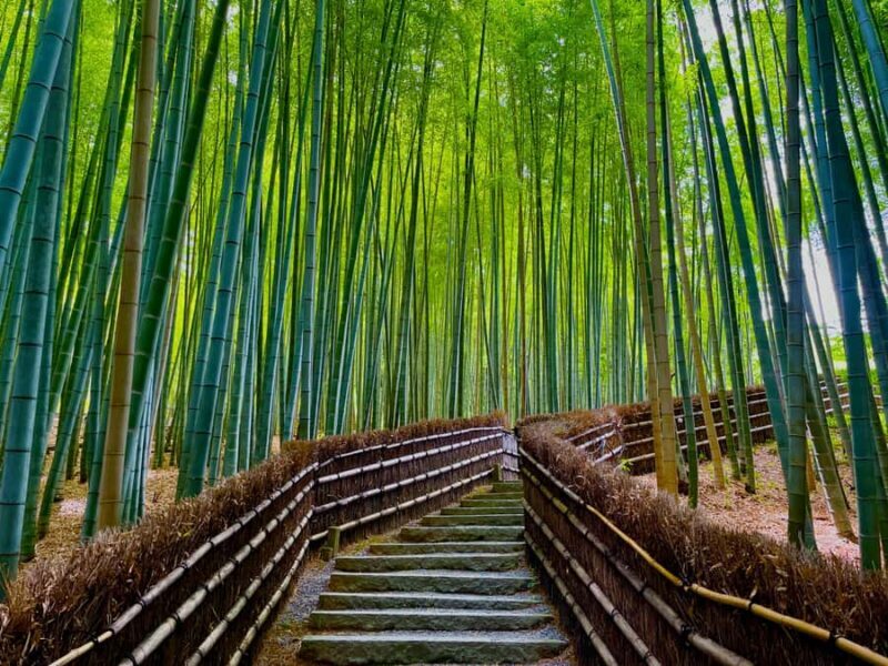 Kyoto Early Bird English Tour: Fushimi-Inari and Arashiyama - Key Points