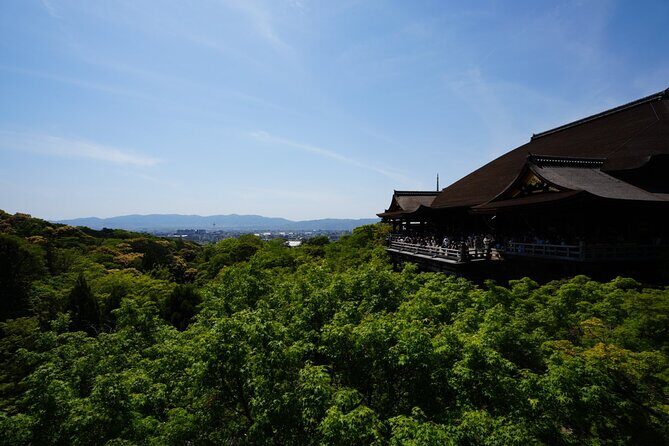 Kyoto Early Morning E Biking Tour (Shrines & Temples) - Final Thoughts: Who Is This Tour For?