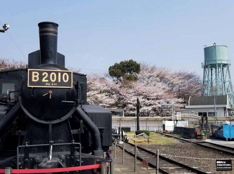Kyoto: Enjoy "Hanami" Cherry Blossom Experience with Snacks - An Authentic, Laid-Back Way to Experience Kyoto’s Hanami