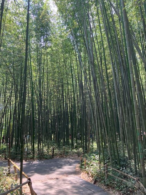 Kyoto: Essential Tour with Fushimi Inari & Bamboo Grove - Key Points