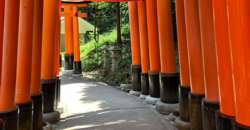 Kyoto: Essential Tour with Fushimi Inari & Bamboo Grove - Who Is This Tour Best For?