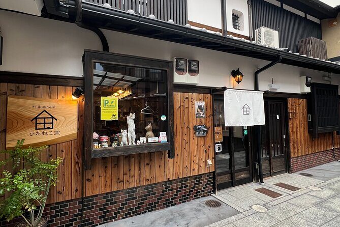 Kyoto: Ethical Cat Sanctuary & Traditional Tea Ceremony - Setting the Scene: What to Expect