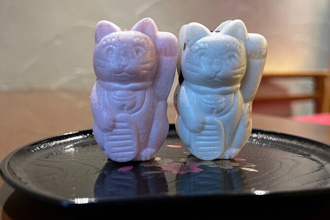 Kyoto: Ethical Cat Sanctuary & Traditional Tea Ceremony - Who Will Love This Experience?