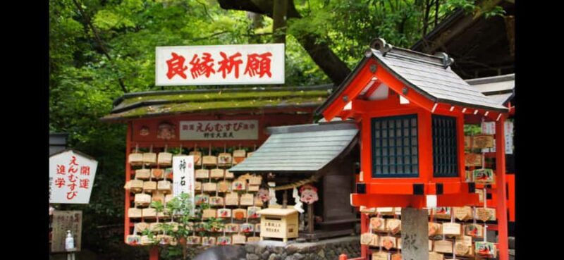 Kyoto: Explore Arashiyama - Monkeys, Temples & Bamboo Trail - Key Points