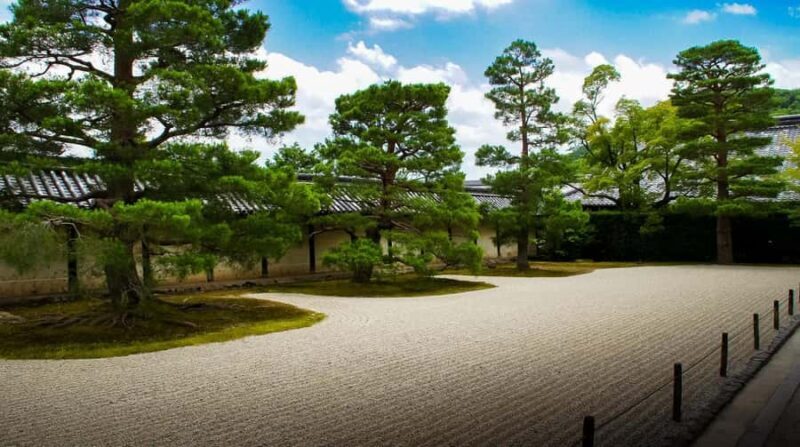 Kyoto: Explore Arashiyama - Monkeys, Temples & Bamboo Trail - The Playful Monkey Park Iwatayama