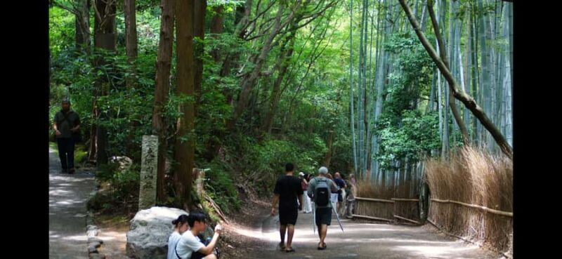 Kyoto: Explore Arashiyama - Monkeys, Temples & Bamboo Trail - The Value of This Tour