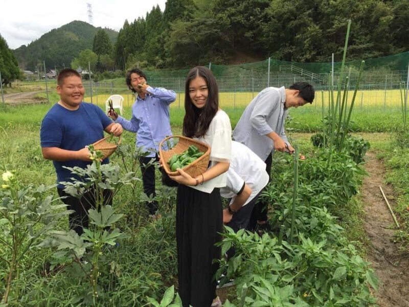 Kyoto: Farm Visit, Cooking Class, and Temple Gardens - What’s the Value?