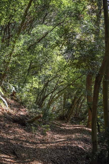 Kyoto from Above: Hike Mt. Amida with Kiyomizu Views - A Touch of History at Houkoku-byo Mausoleum