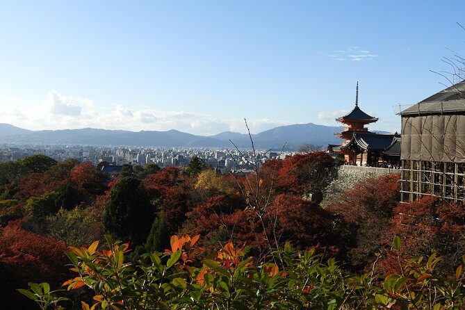 Kyoto Full Day (8 hours) Ultimate Sightseeing Private Tour - Considerations and Possible Drawbacks