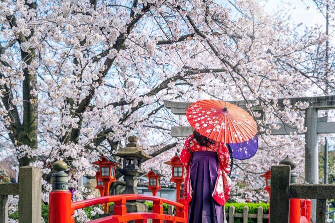 Kyoto Full Day (8 hours) Ultimate Sightseeing Private Tour - Who Will Love This Tour