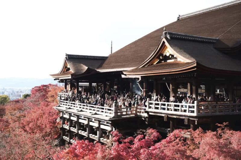 Kyoto Full-Day Customizable Private Tour with English Guide - Pricing and Value