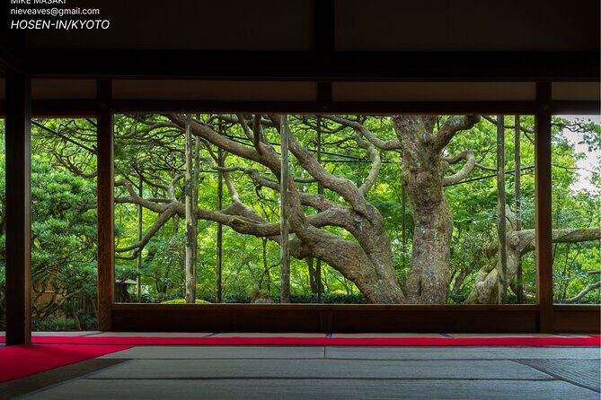 Kyoto Full-Day Excursion from Kobe (Osaka) Port - Detailed Breakdown of the Kyoto Full-Day Tour