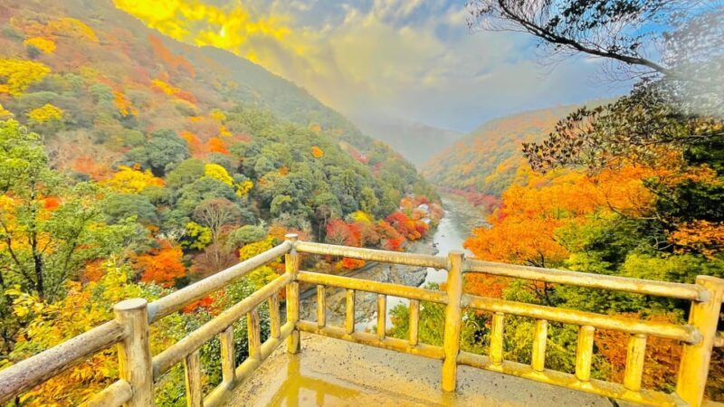 Kyoto: Full-Day Highlight Guided Tour with Expert Tour Guide - Why We Think This Tour Works for Travelers