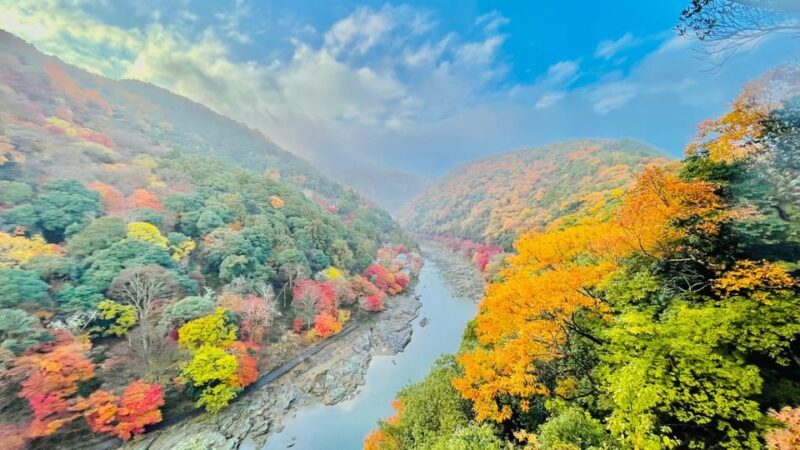 Kyoto: Full-Day Highlight Guided Tour with Expert Tour Guide - What You’ll Really Get from the Tour