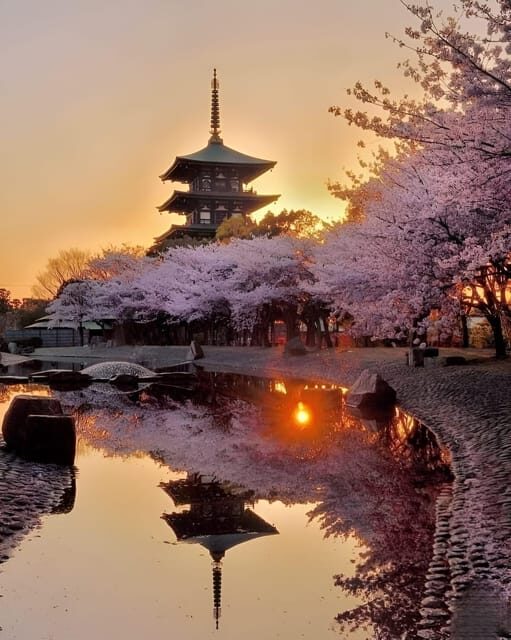 Kyoto full day private day trip with English speaking driver - Key Points