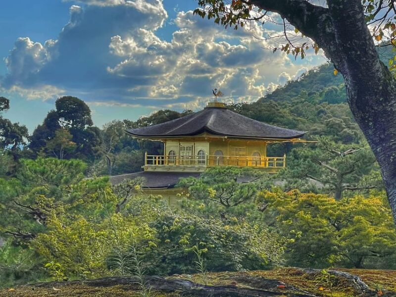 Kyoto full day private day trip with English speaking driver - Who Should Consider This Tour?