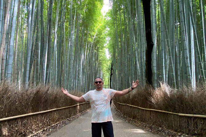 Kyoto Full Day Tour from Kobe with Licensed Guide and Vehicle - Who Should Consider This Tour?