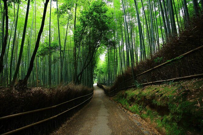 Kyoto Full Day Trip from Osaka - Who Should Consider This Tour?