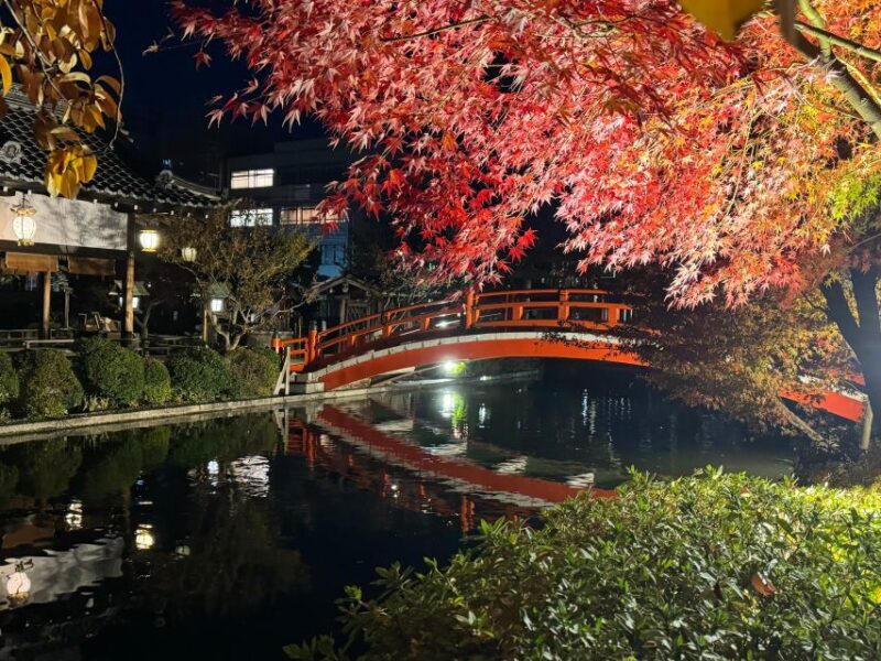 Kyoto: Fully customizable half day tour in the old capital - Why this tour offers great value